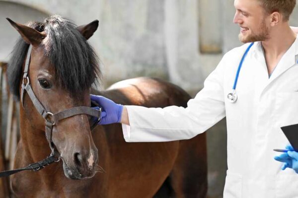 Enquête : les pratiques de vermifugation - Equifolia